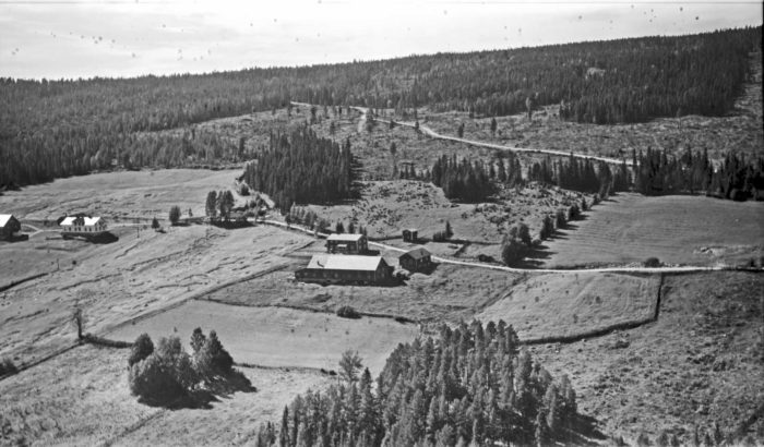 Tragedien i Rendalen