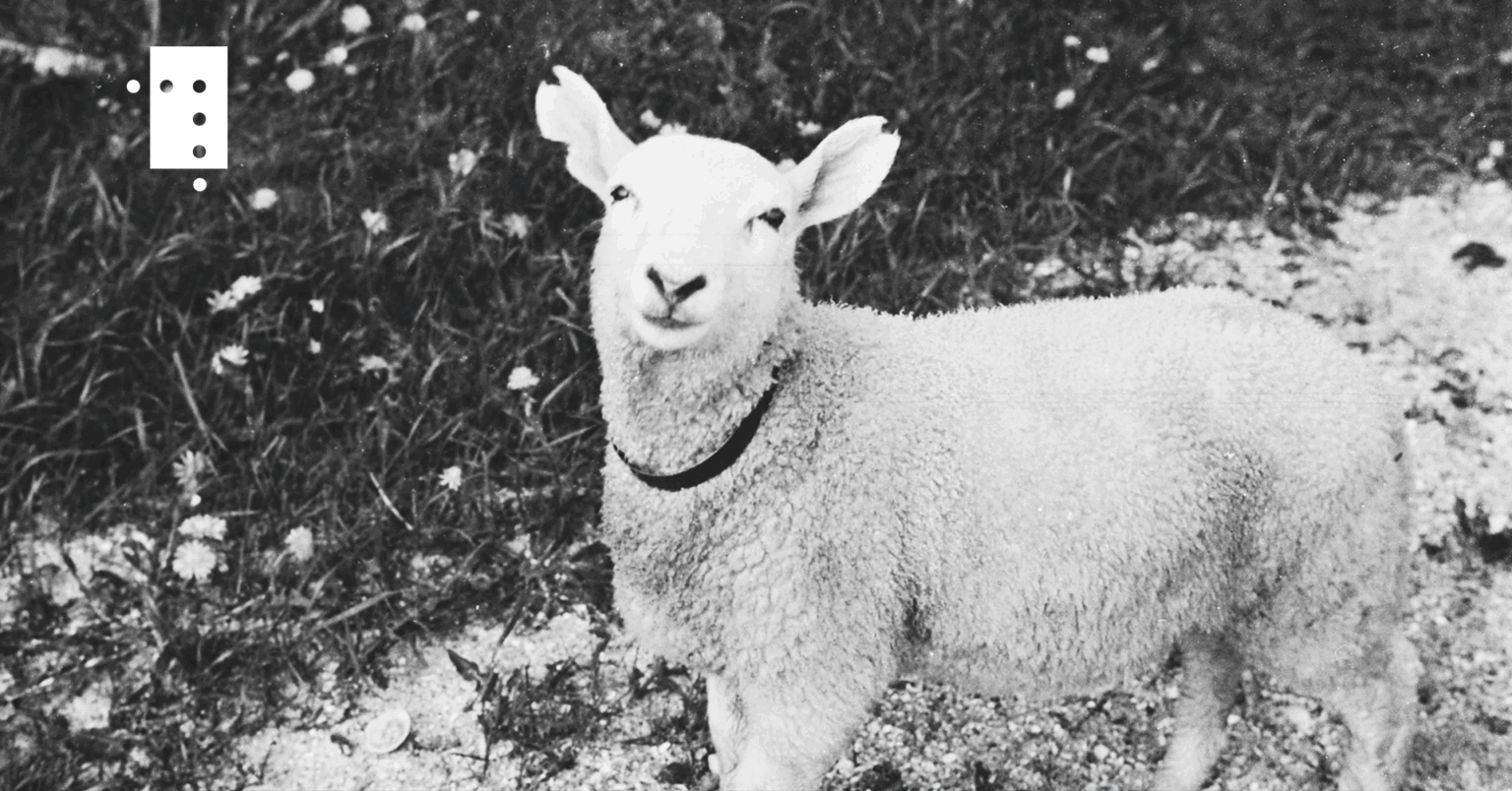 Strikk og lytt: alt om sau og ull | Nasjonalbiblioteket