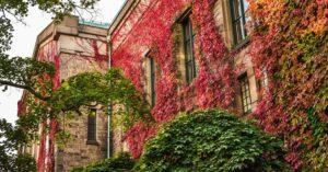 Visit the National Library of Norway - National Library of Norway